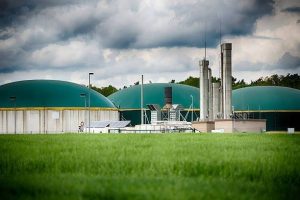 TRICKLE BIO POWER - Electricity Generation from Biogas