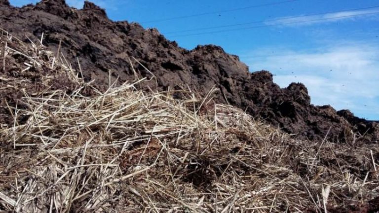 TRICKLE BIO POWER - Electricity Generation from Biogas