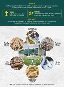 TRICKLE BIO POWER - Electricity Generation from Biogas